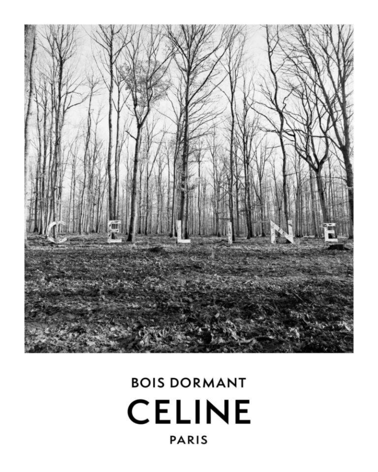 【セリーヌ】ボワ ドルモン（エディ・スリマン） | カイエ・デ・モード